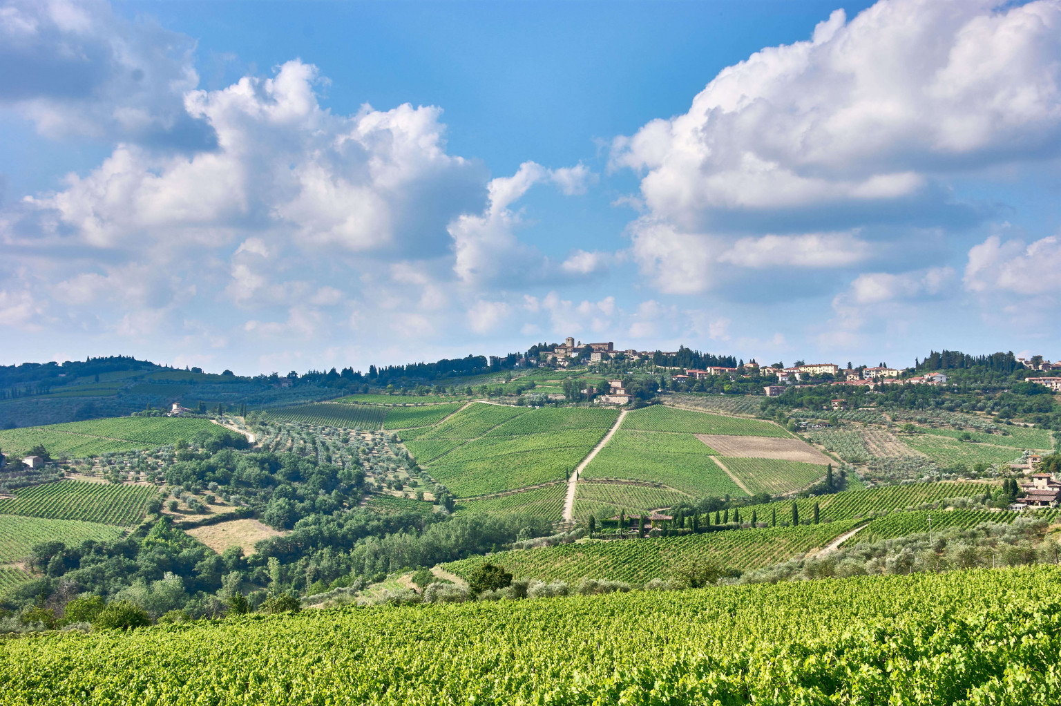 Sipping and Sightseeing: Castellina in Chianti, Tuscany - My Magic Earth