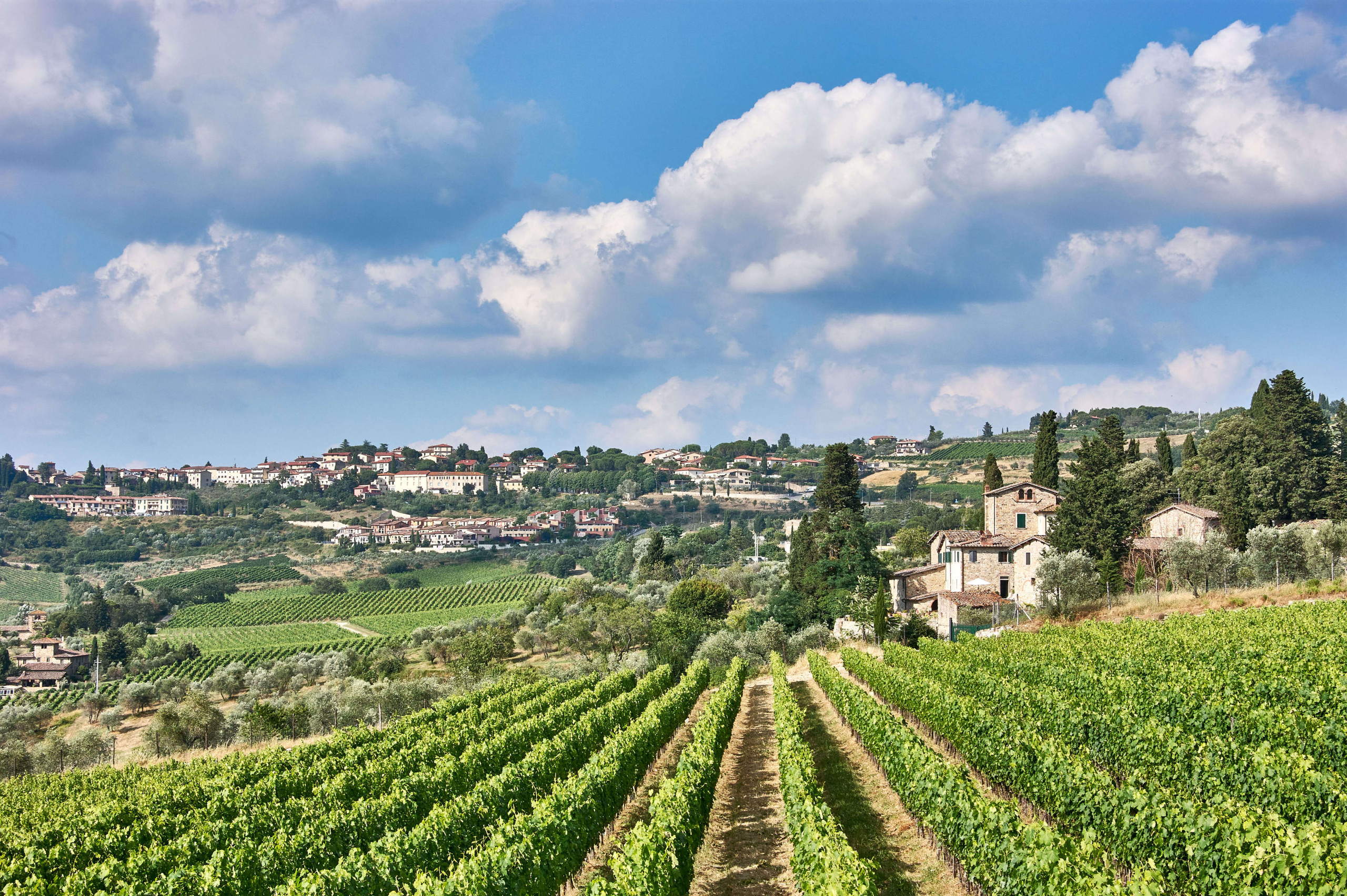 Wine Tasting Castellina In Chianti at Kurt Scott blog