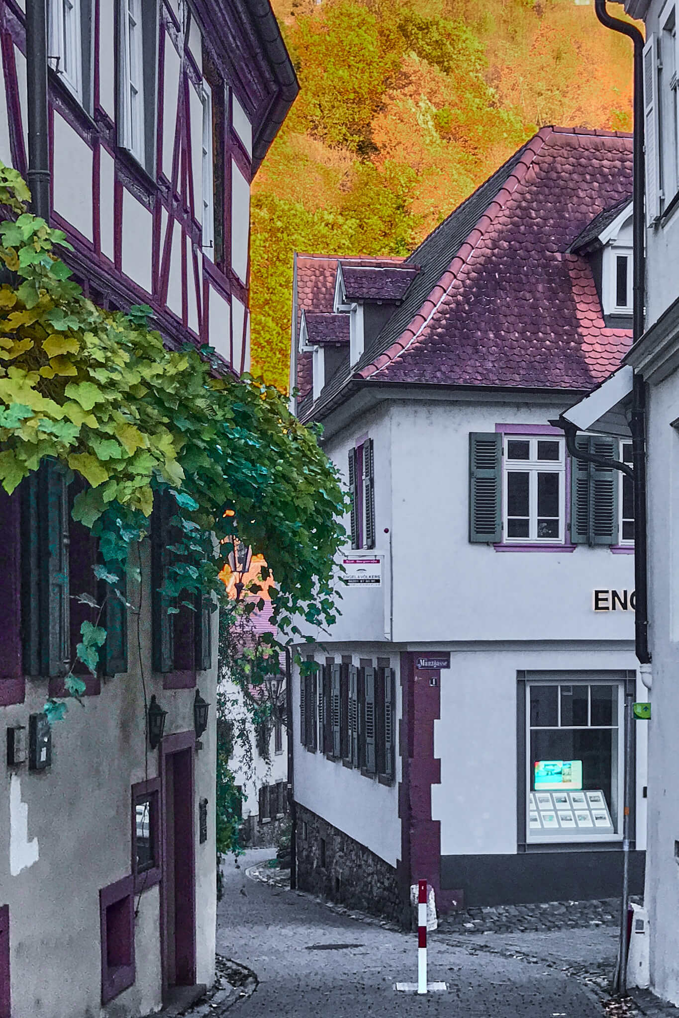 Weinheim, a German City with Two Castles - My Magic Earth