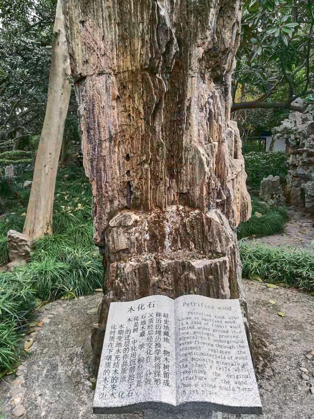 Guilin Park, a Classic Southern Chinese Garden in Shanghai - My Magic Earth
