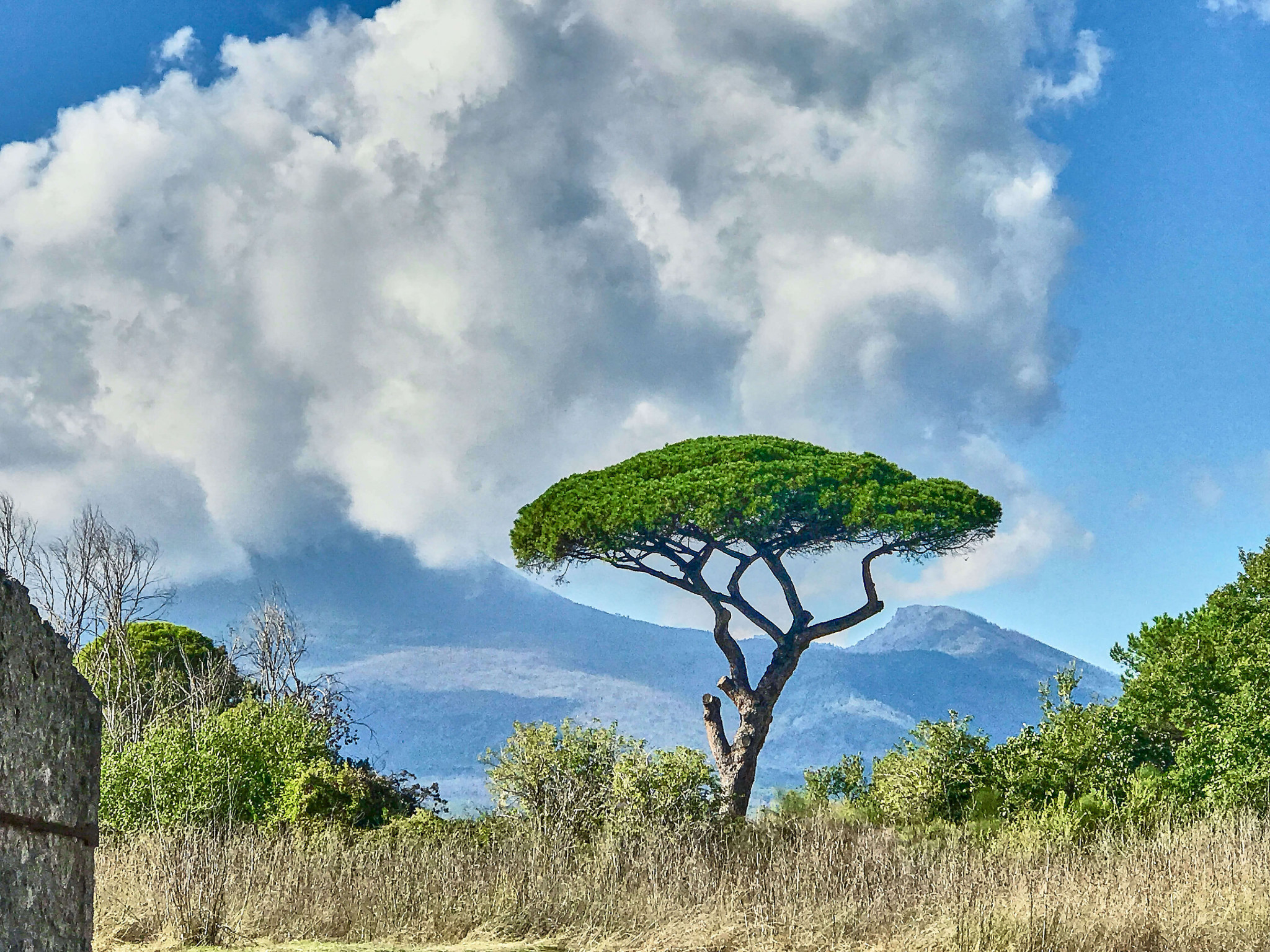 In the Shadow of the Volcano: Hiking the Crater of Active Mount ...