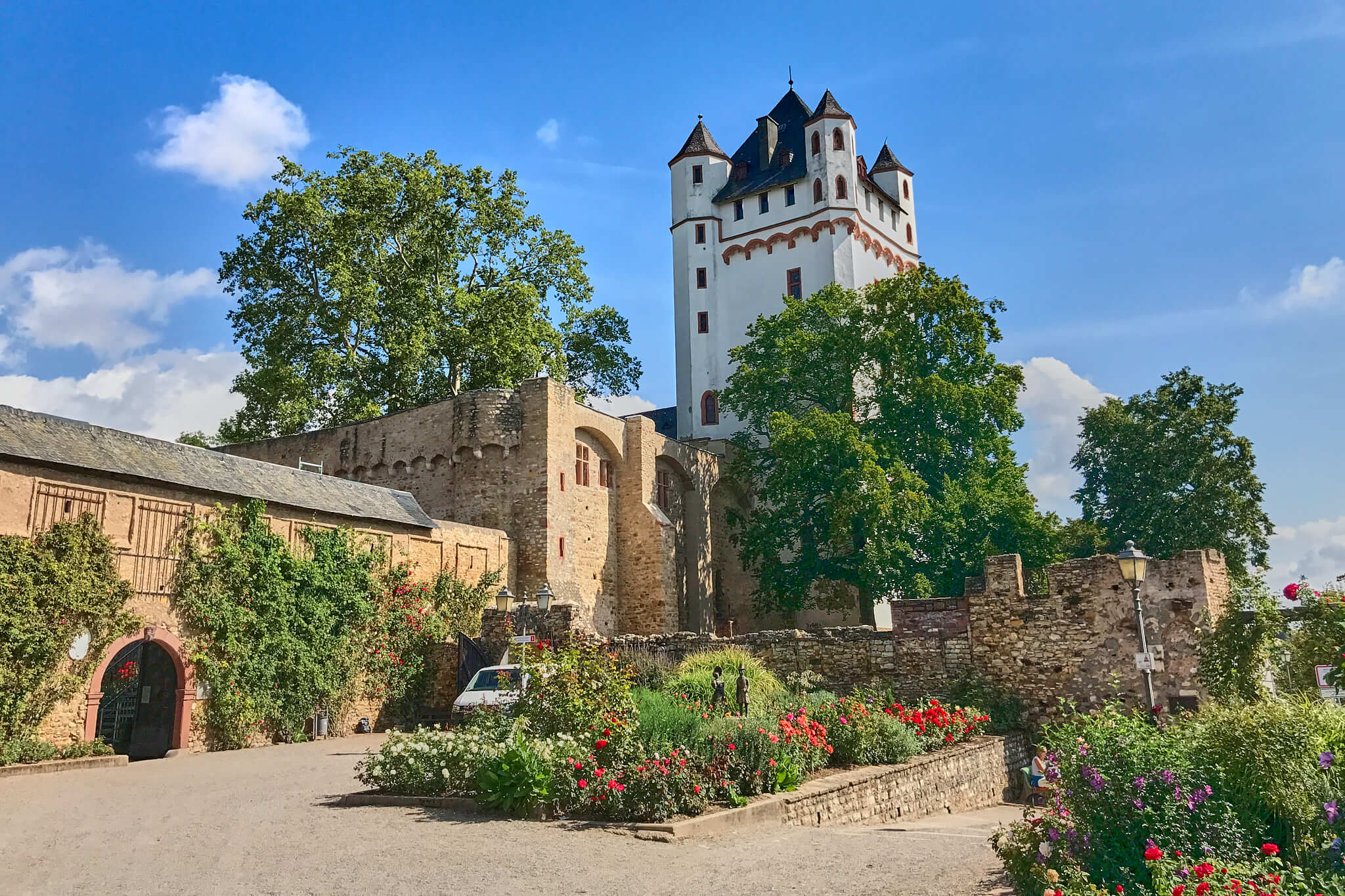 Eltville, a Romantic Rose City Along the Rhine River - My Magic Earth