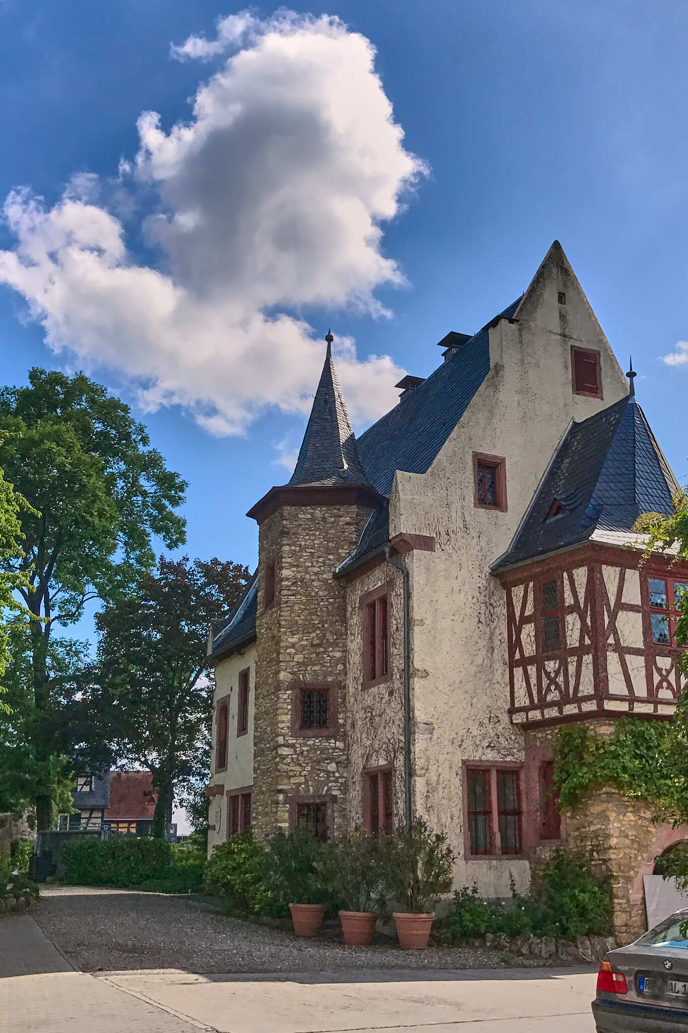 Eltville, a Romantic Rose City Along the Rhine River - My Magic Earth