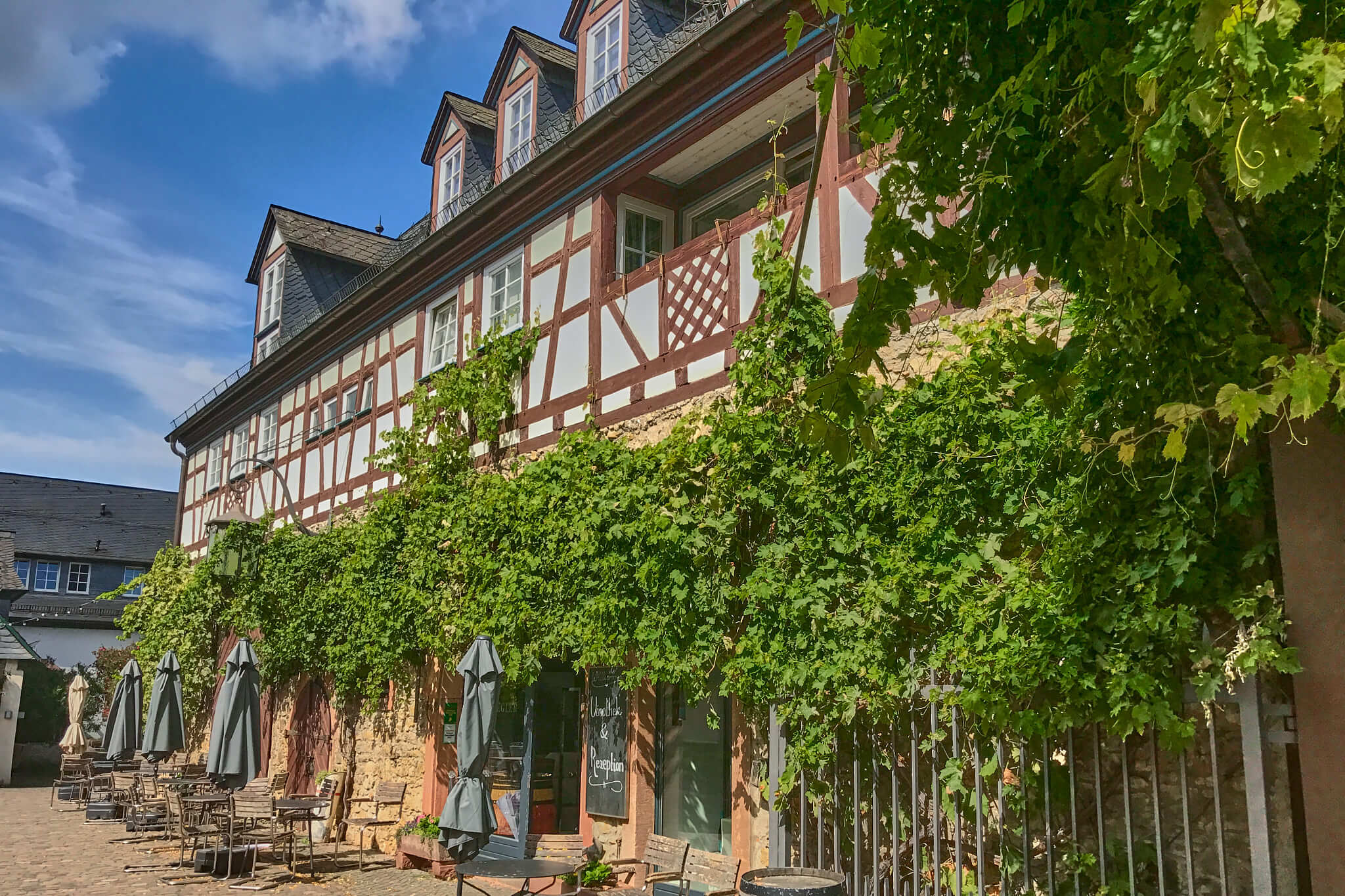 Eltville, a Romantic Rose City Along the Rhine River - My Magic Earth