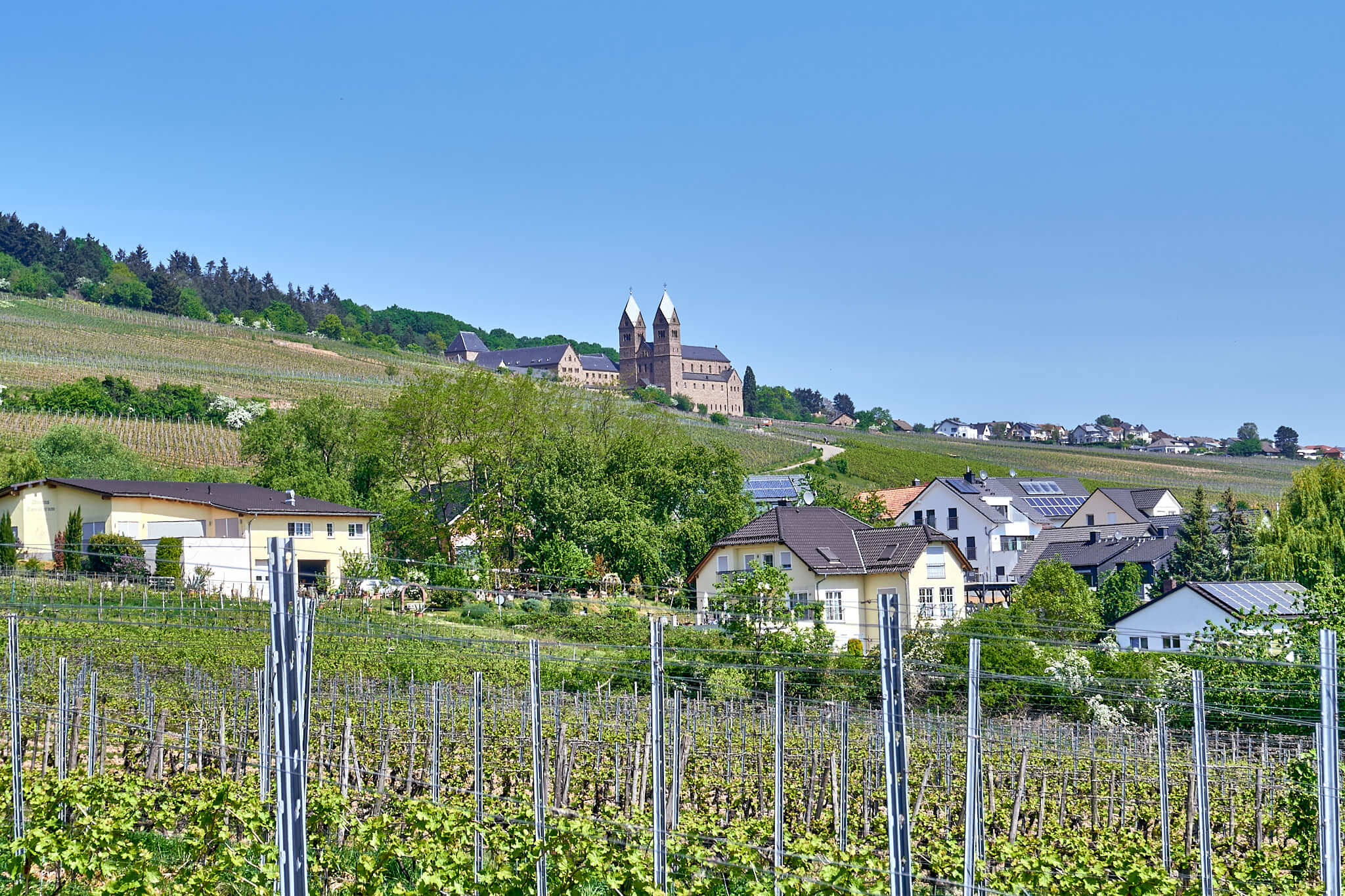 Rüdesheim Hiking Trail, a Short Walk in the Romantic Rhine Valley - My ...