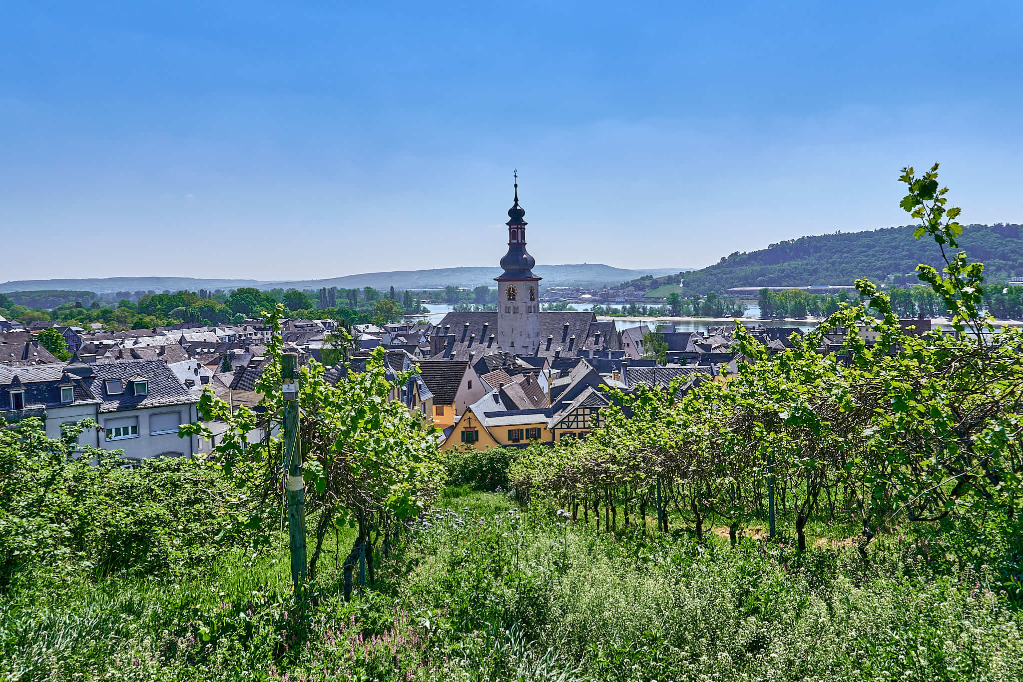Rüdesheim Hiking Trail, a Short Walk in the Romantic Rhine Valley - My ...