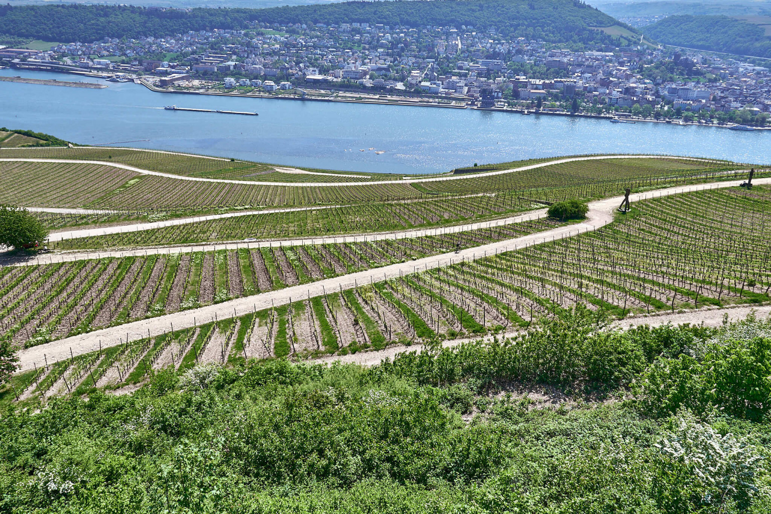 Rüdesheim Hiking Trail, a Short Walk in the Romantic Rhine Valley - My ...