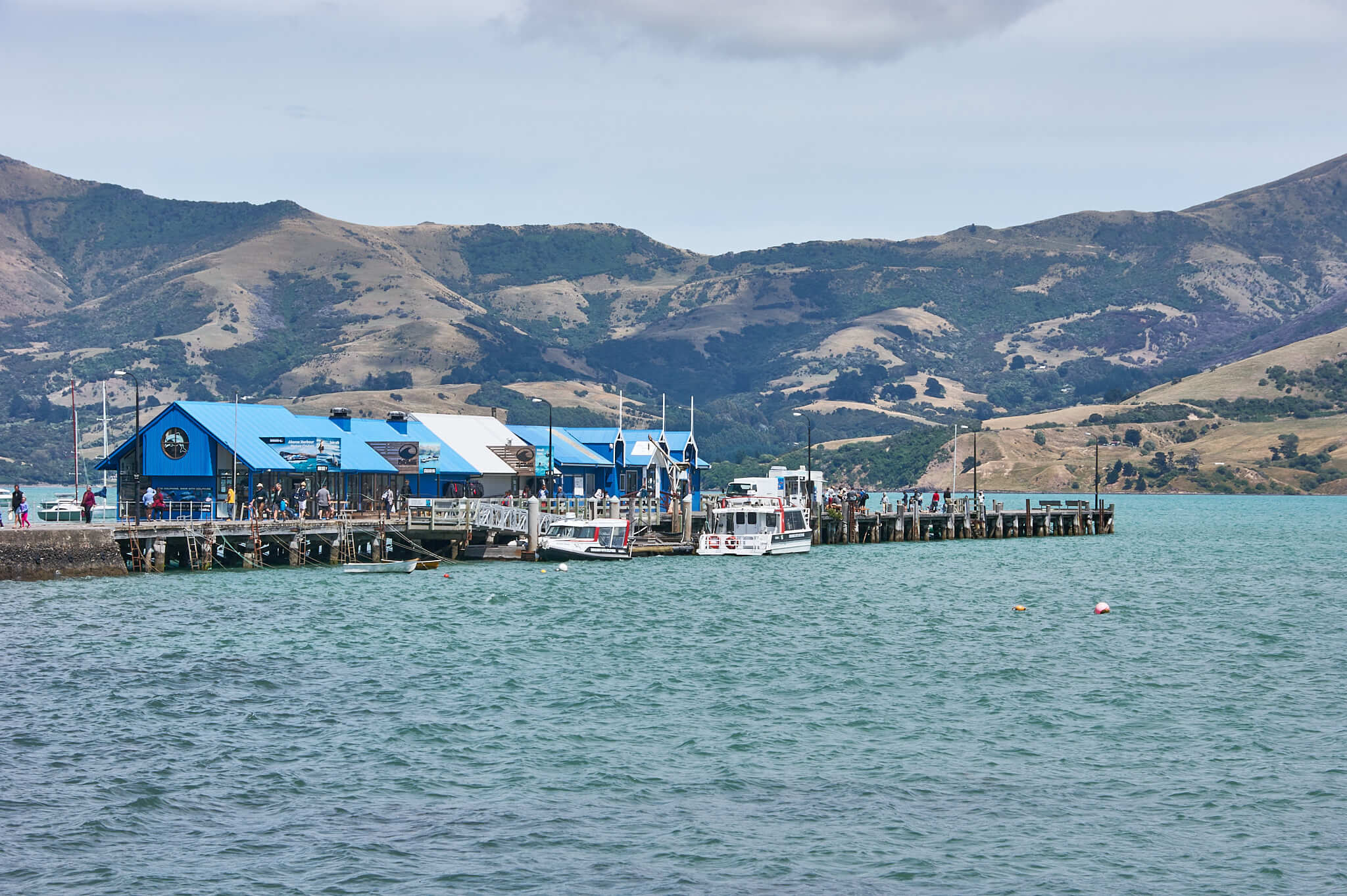Things to Do in the French Village Akaroa, New Zealand - My Magic Earth
