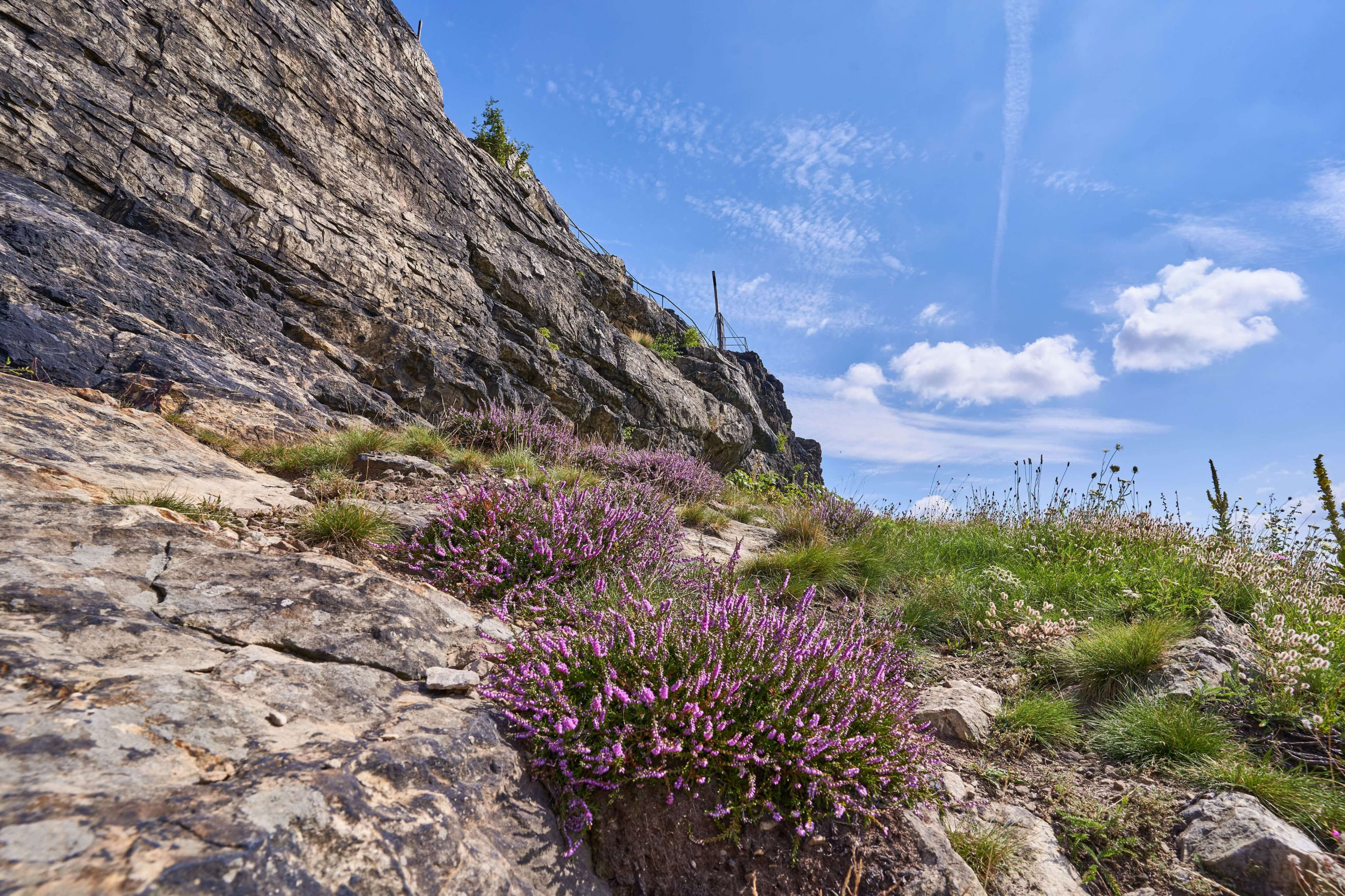 Devil’s Wall in the Harz Mountains with Easy Hiking Trails - My Magic Earth