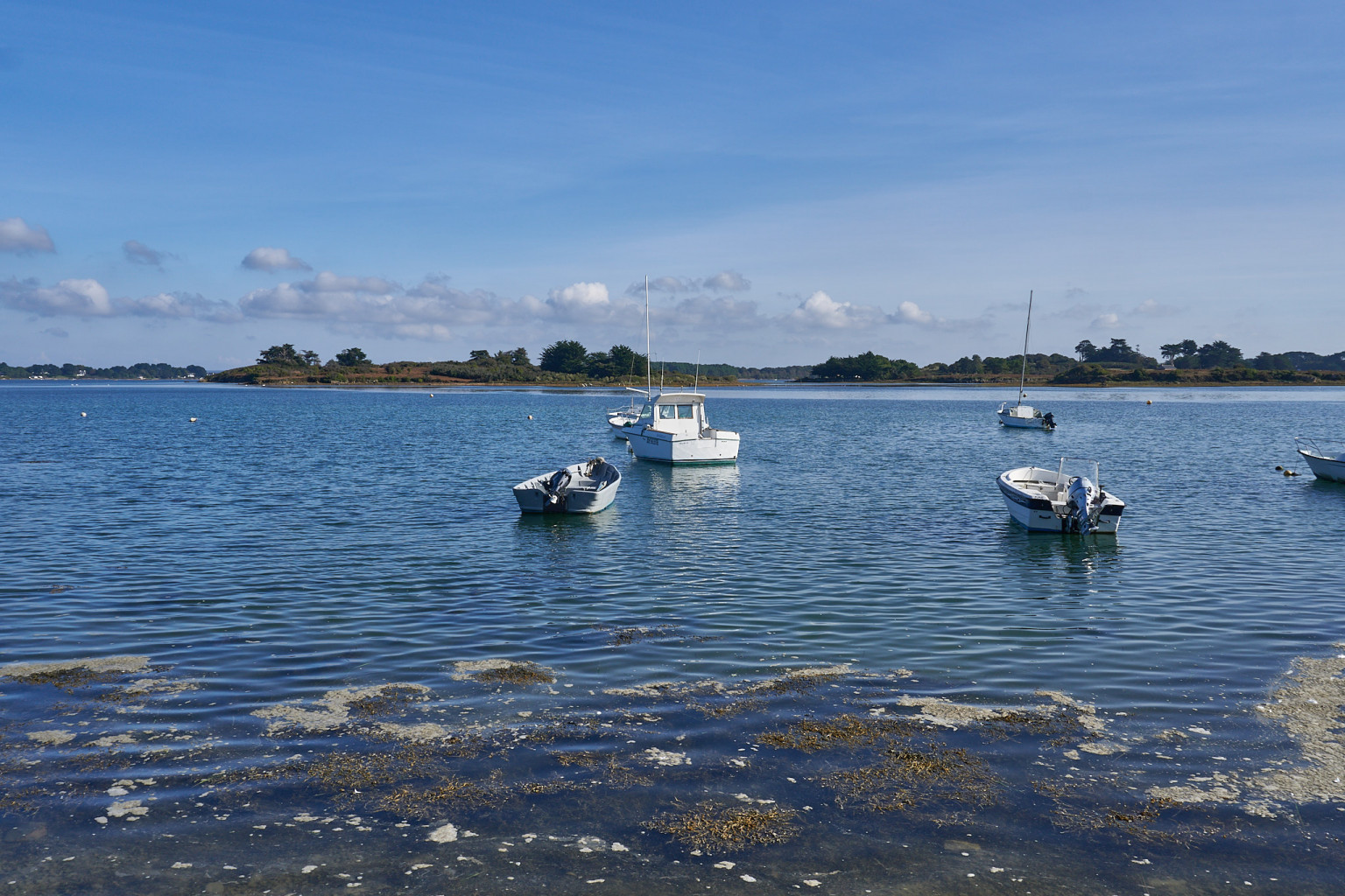 Saint-Cado Islet: A Cozy Escape on the Etel River - My Magic Earth