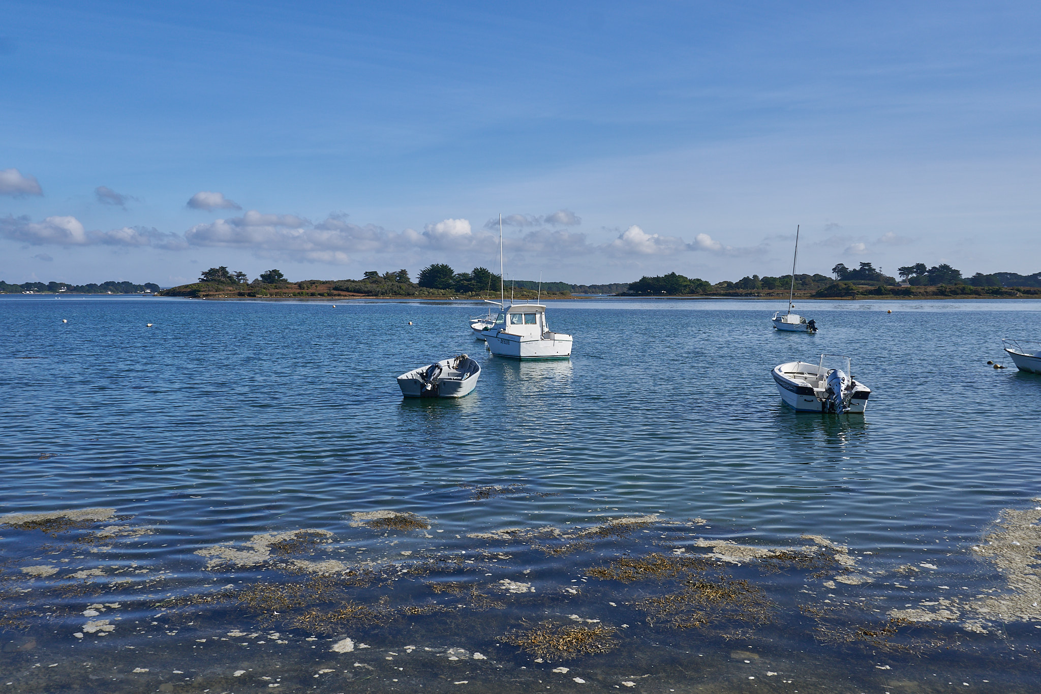 Saint-Cado Islet: A Cozy Escape on the Etel River - My Magic Earth