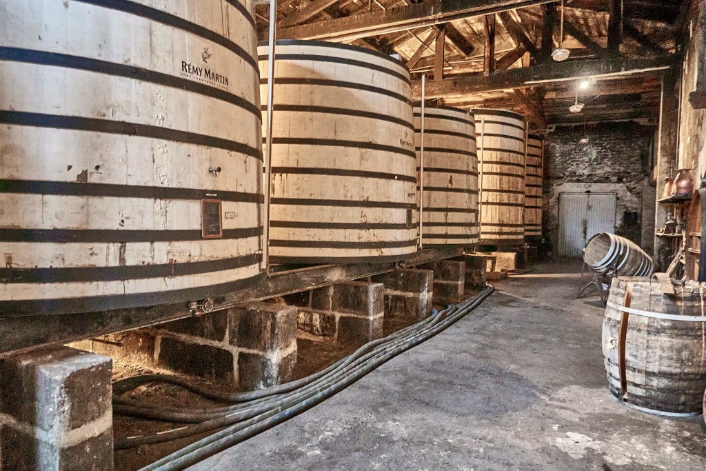 Cognac Tasting Tour: A Premium Spirit Adventure in the Heart of France ...