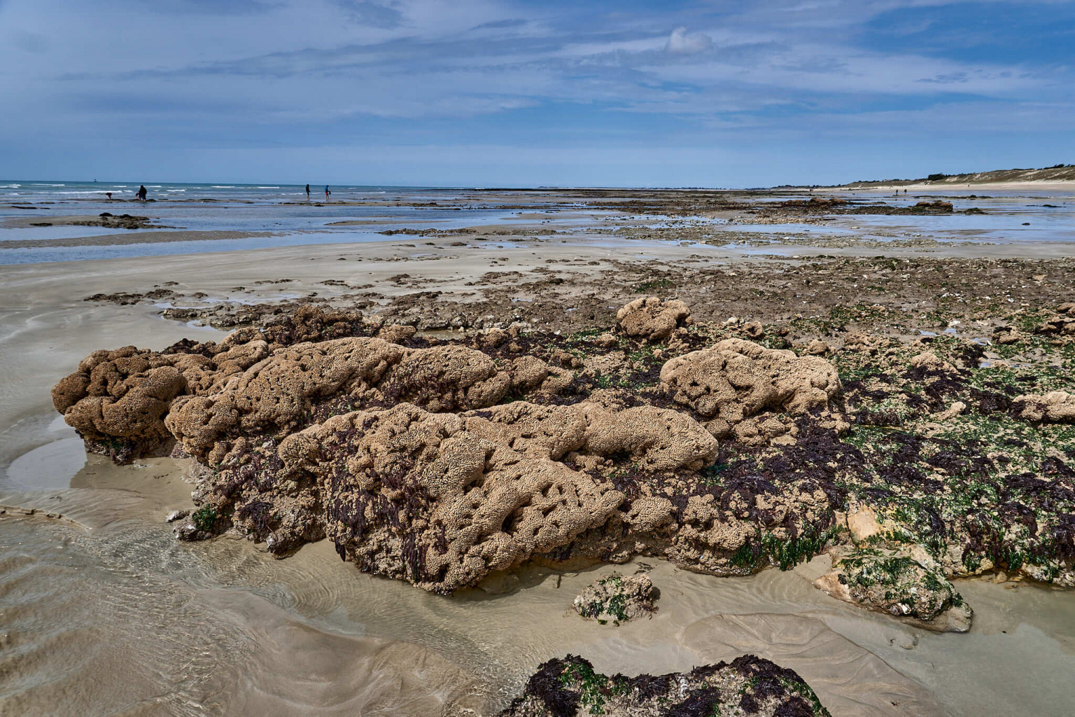 French Coastal Magic: A 6-Day Charente-Maritime Itinerary - My Magic Earth