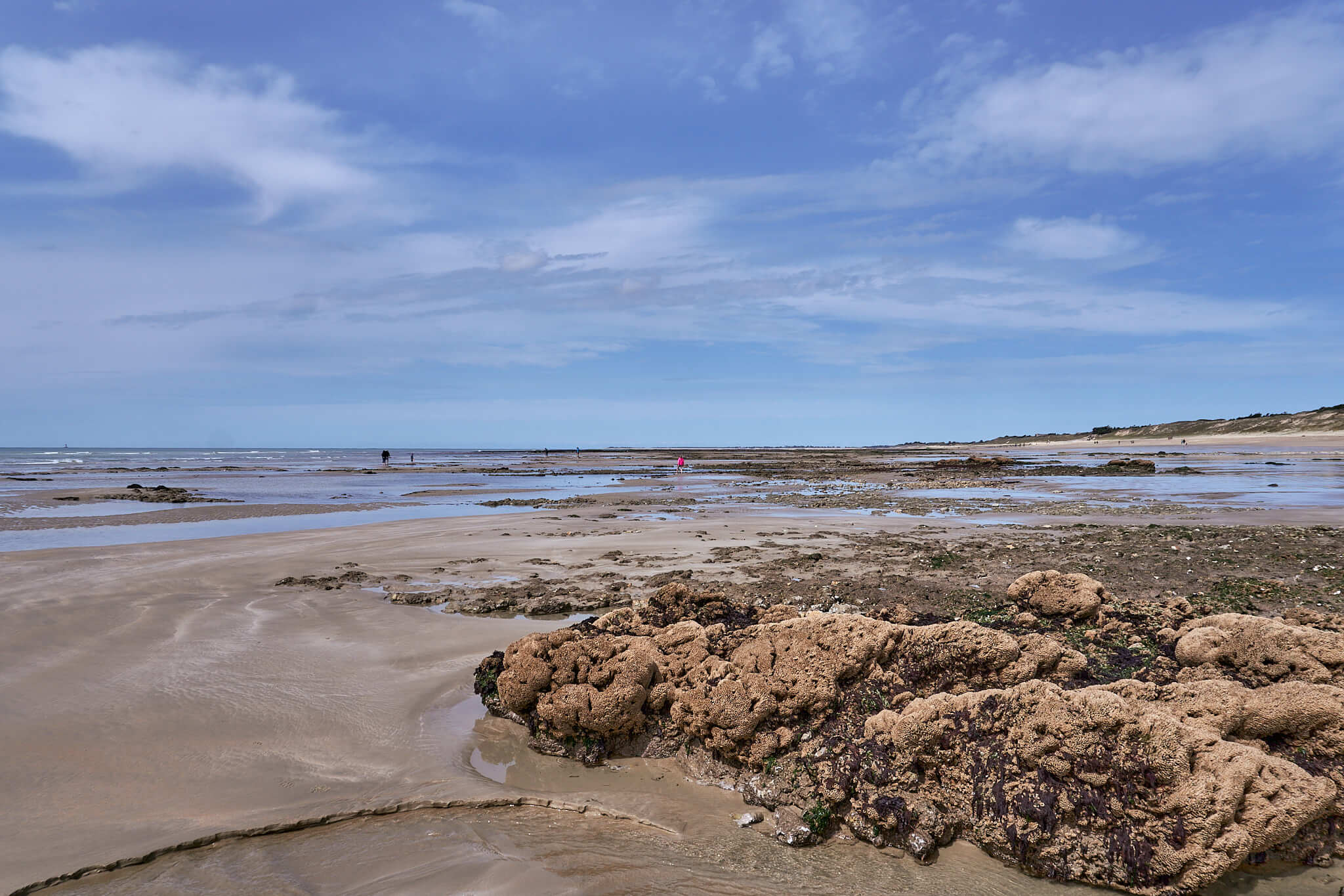 French Coastal Magic: A 6-Day Charente-Maritime Itinerary - My Magic Earth