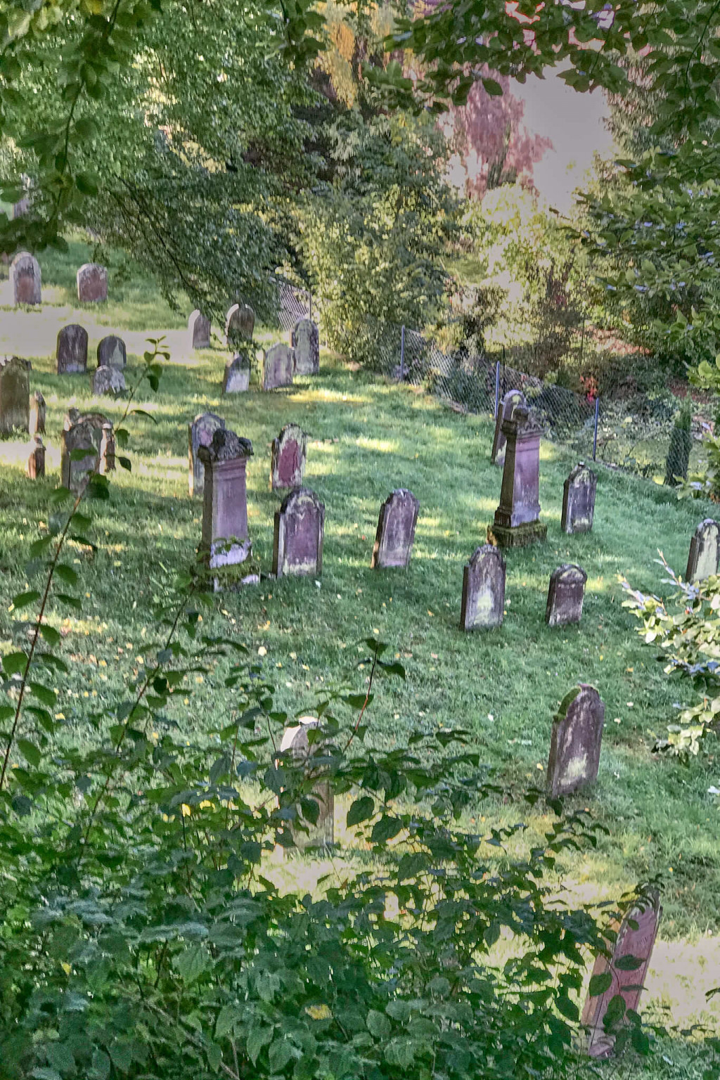 Pretty Town Miltenberg's Half-timbered Houses: A Feast for the Eyes ...