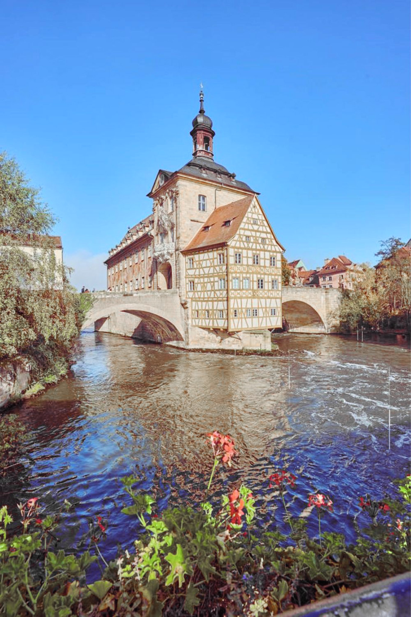 Food Specialties in Bamberg Germany: An Ultimate Culinary Adventure - My Magic Earth