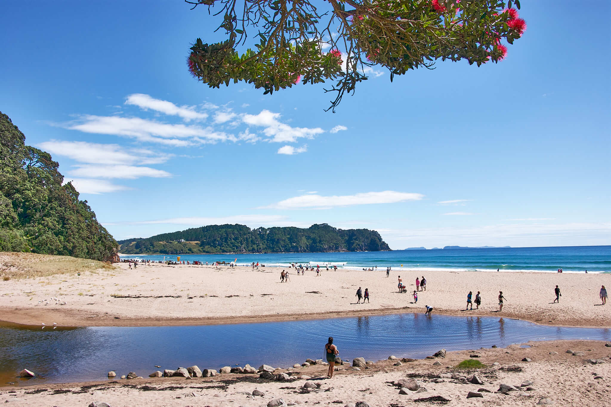 Hot Water Beach, a Unique Kiwi Experience in Coromandel Peninsula - My ...